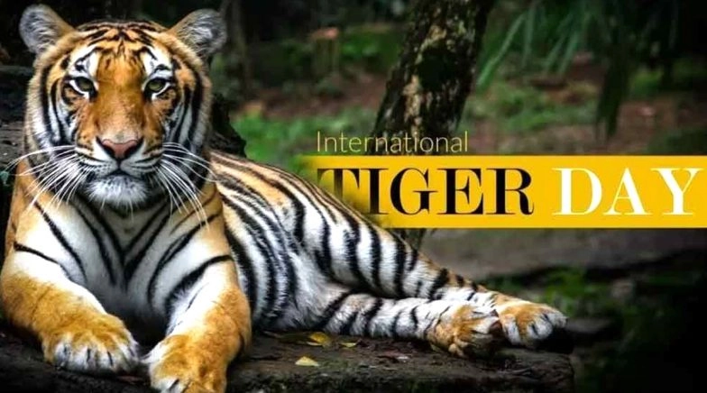On International Tiger Day 2020, Twitterati Share 'Save The Tiger ...