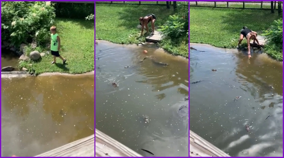 Viral News | Mom and Son Jump Inside Alligator Enclosure to Get Wallet ...