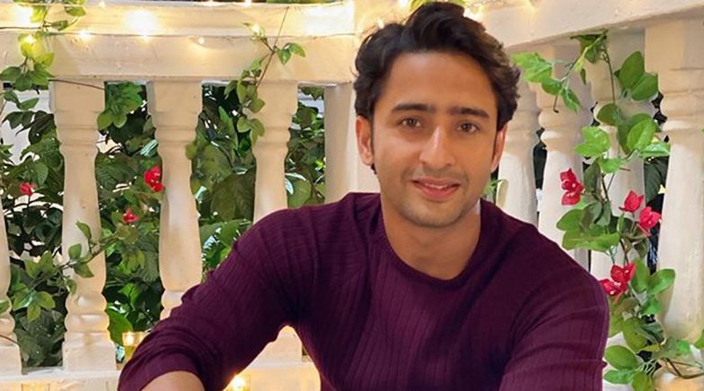 Did You Know Shaheer Sheikh Had Not Watched Any of His Shows Until Yeh ...
