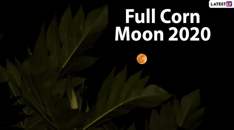 Full Corn Moon 2020 Date and Timings: Know Everything About the Full ...