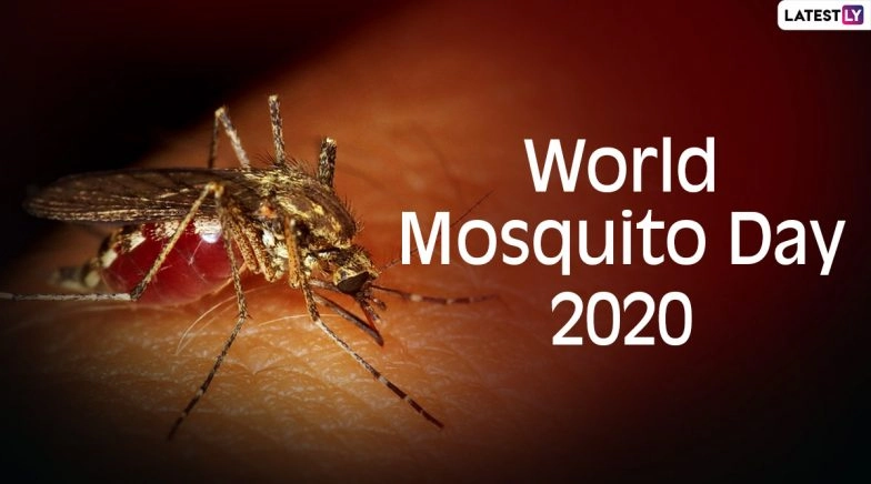 World Mosquito Day 2020: Quotes And Slogans to Raise Awareness About ...