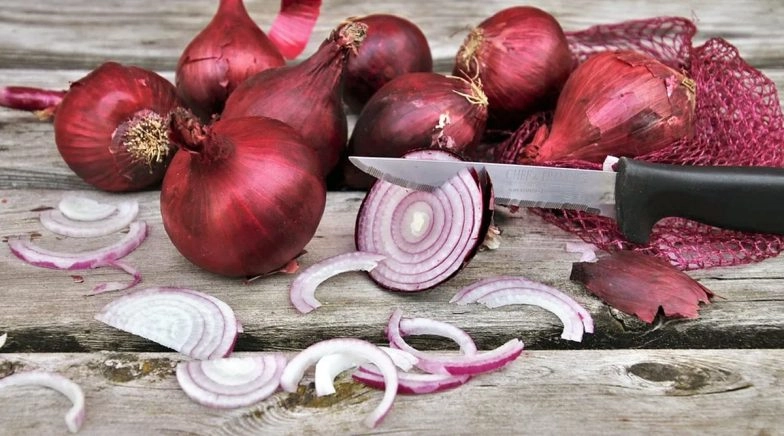 Salmonella Outbreak-Red Onions Connection? Salmonella Outbreak in US ...