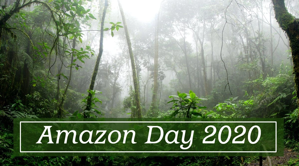 Festivals & Events News | Amazon Day 2020: Know The Significance of the ...