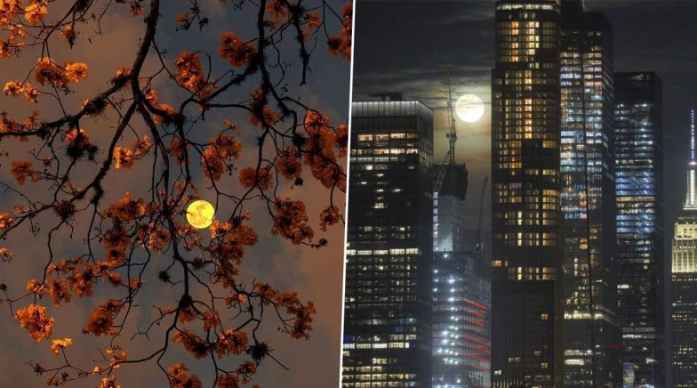 Corn Moon 2020 Graces The Night Sky! See Pictures And Videos of the ...
