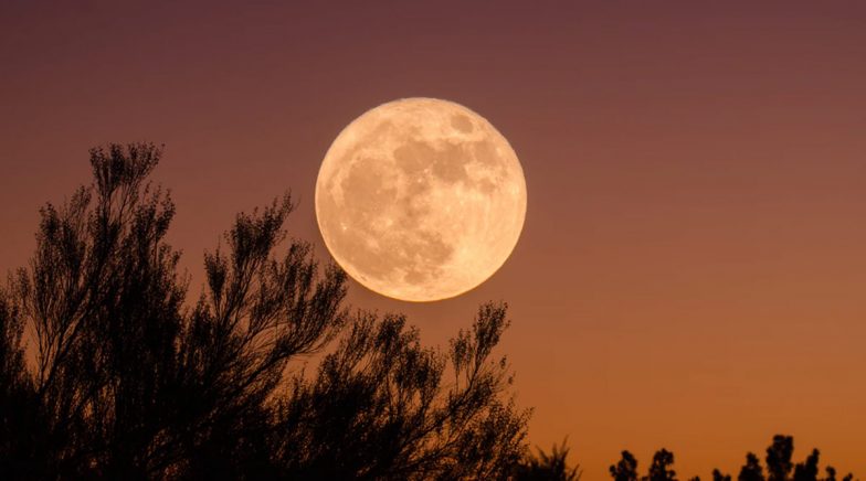 Harvest Moon 2020 Date: Know Where and How to See The First Full Moon ...