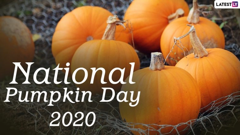 National Pumpkin Day 2020 Date And Significance: Know The History of ...