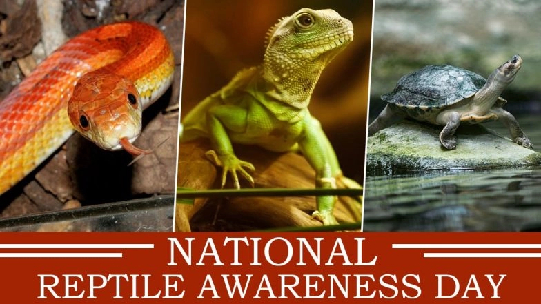 National Reptile Awareness Day 2020 Date: Know History and Significance ...
