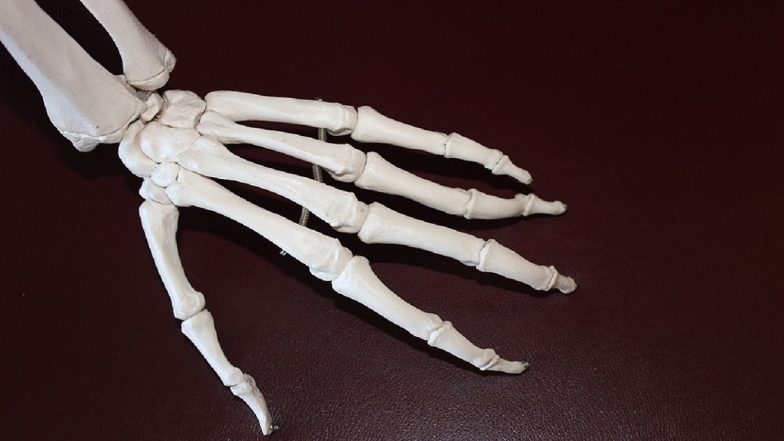 Kolkata Shocker: Skeleton of a 25-Year-Old Man Found From the Terrace ...