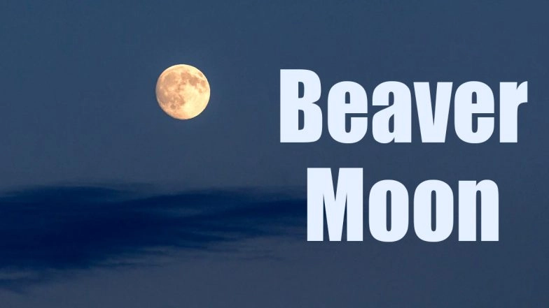 Beaver Moon 2020 Date: All You Need to Know About The Full Moon of ...