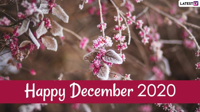 Happy December 2020 Everyone! Twitterati Shares Lovely Images, Quotes ...