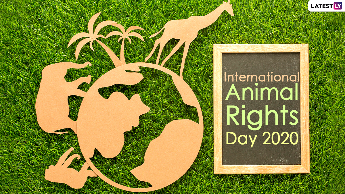 Festivals Events News International Animal Rights Day 2020