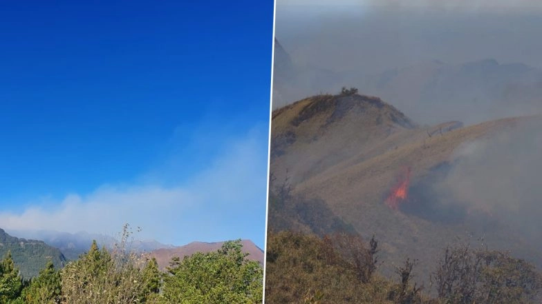 Dzuko Valley Wildfire: Massive Fire Engulfs Valley of Flowers; Manipur ...
