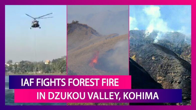 Indian Air Force Fights Forest Fire In Dzukou Valley, Kohima; Lifts ...