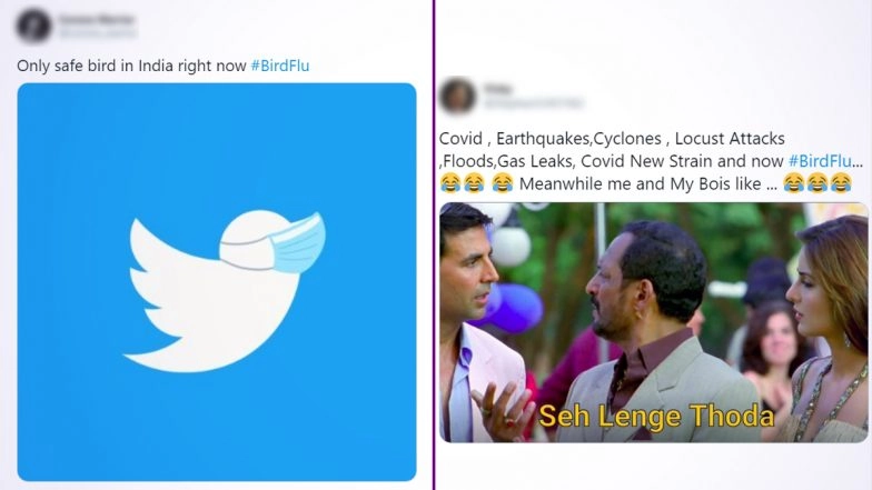 Bird Flu Scare Turns to Funny Memes Laughter! Netizens React With 'Seh ...