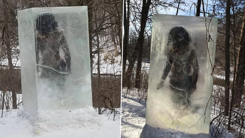 Monolith Level Up? Giant Frozen Caveman Structure Appears in ...