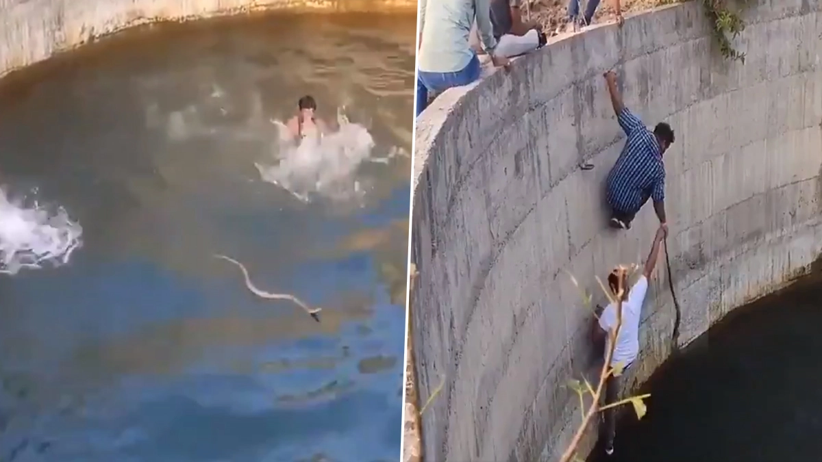 Viral News | Men Risk Life to Rescue Snake Trapped in Well, Watch Video ...