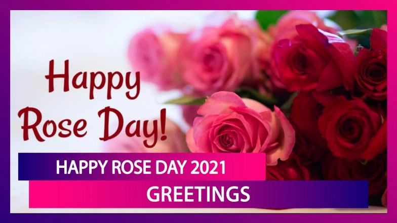 Happy Rose Day 2021 Greetings: WhatsApp Messages, Wishes, Quotes and ...