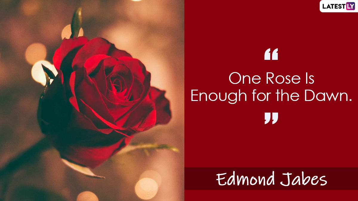 Rose Day 2021 HD Images, Greetings and Wishes: Share Rose Day GIFs ...