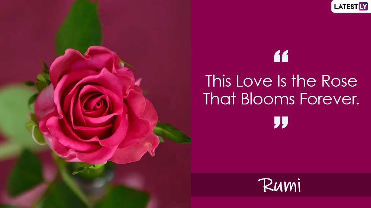 Rose Day 2021 HD Images, Greetings and Wishes: Share Rose Day GIFs ...