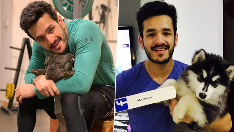 Akhil Akkineni In Manam Entry