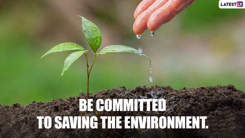 World Environment Day 2021 Messages, WED Quotes & Slogans: WhatsApp ...