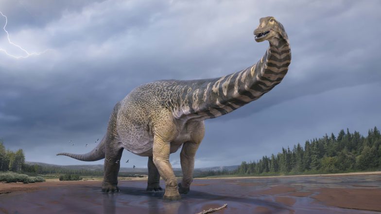 Australotitan Cooperensis, Identified as New Species, Is Largest ...