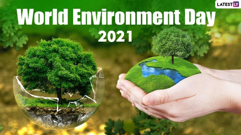 World Environment Day 2021: Here Are The Themes For The Last 10 Years ...