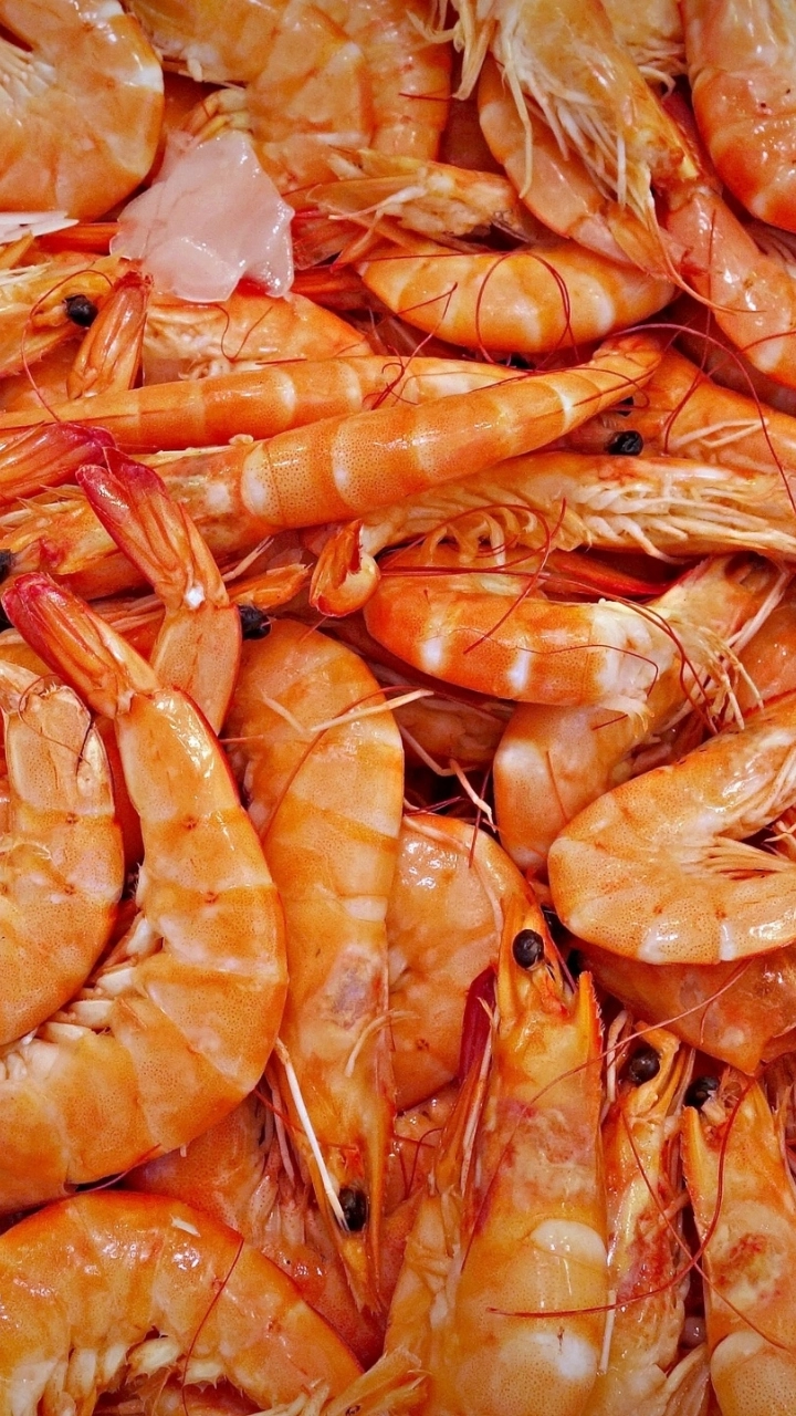 Monsoon Food Guide: 10 Food Items To Eat During the Rainy Season | 🍔 ...