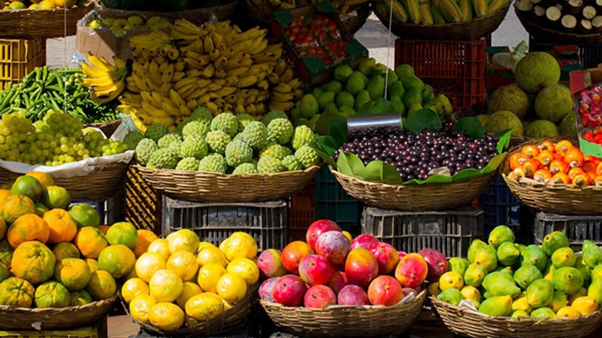 Lifestyle News | How To Start A Produce Stand? – Every Necessary Detail ...