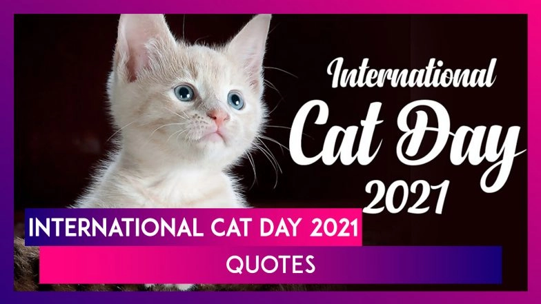 International Cat Day 2021: Quotes, Greetings and Images To Celebrate ...