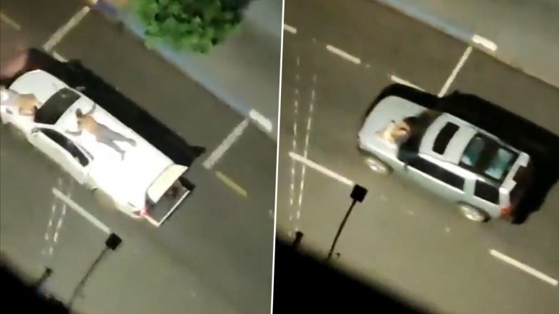 Brazil Bank Robbery: Attackers Use Hostages as Human Shields, Tie Them ...