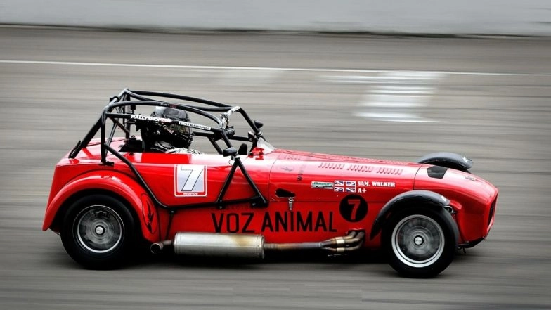 Sam Reklaw on Homeless Animals, And the Heroes Who Help Them | 🛍️ LatestLY