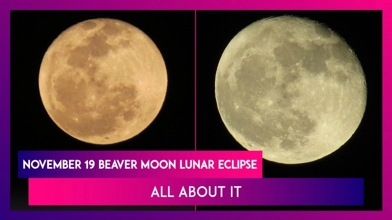 November 19 Beaver Moon Lunar Eclipse To Be Longest Of The Century: All ...