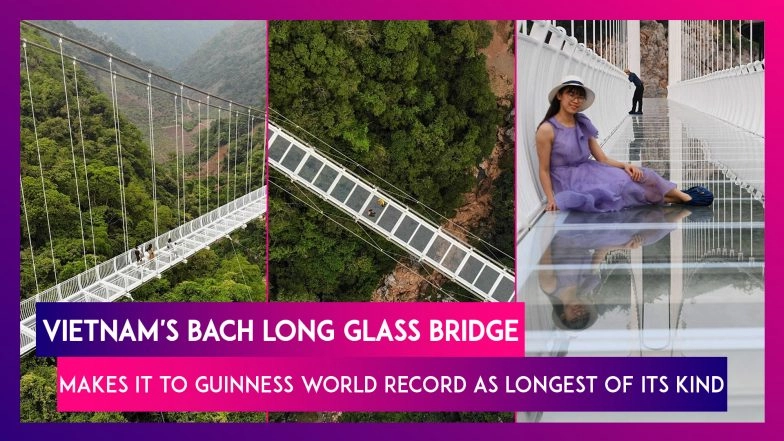 Vietnam's Bach Long Glass Bridge Makes It To Guinness World Record As ...