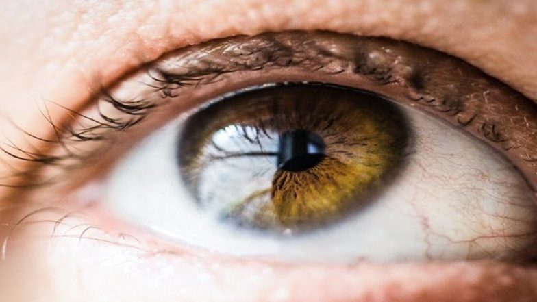 Cataract Treatment: Scientists Move a Step Closer, New Drug Found ...