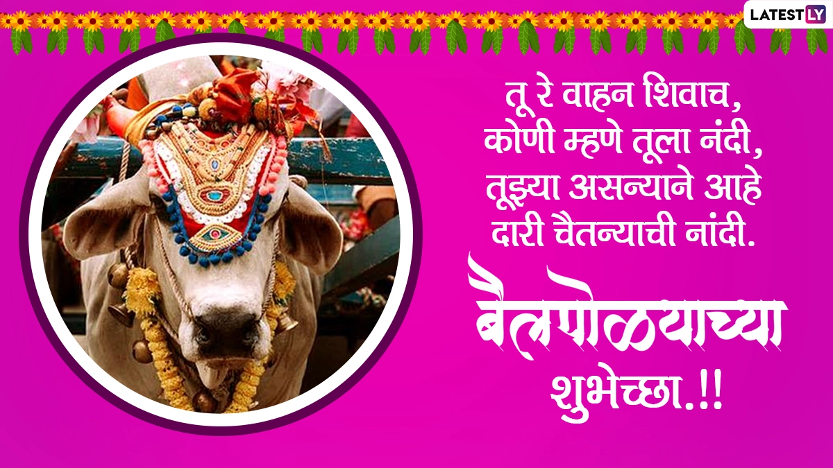 Bail Pola 2022 Wishes in Marathi & HD Images: WhatsApp Messages ...