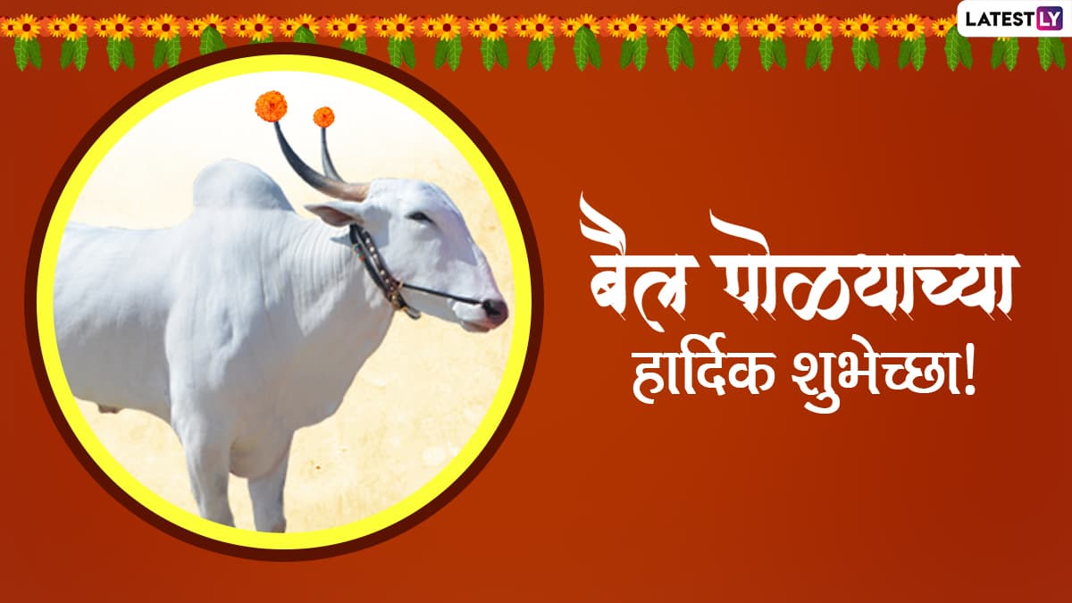 Festivals & Events News | Latest Bail Pola 2022 Greetings, WhatsApp ... Festivals & Events News | Latest Bail Pola 2022 Greetings, WhatsApp ...