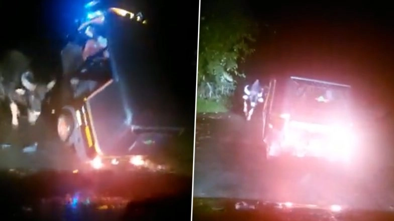 Video: Wild Gaur Rams Autorickshaw in Kerala, Lifts Vehicle on Its ...