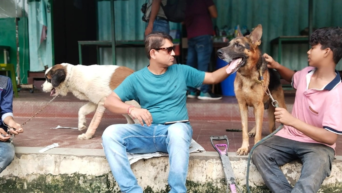 India News | Man’s Best Friend Bites: Pitbulls, German Shepherds Spread ...