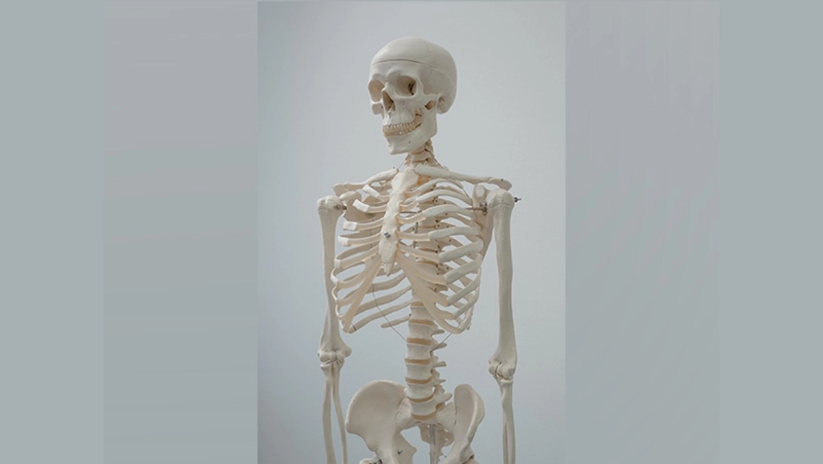 Agency News | One-legged Stone Age Skeleton May Show Oldest Amputation ...