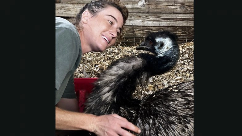 Emmanuel The Emu Sick With Avian Influenza; Experts Warn Caretaker ...