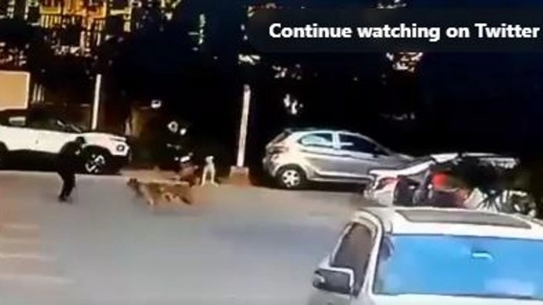 Stray Dogs Attack in UP: Pack of Dogs Bites Man in Greater Noida, CCTV ...