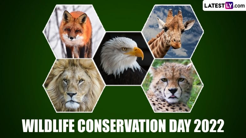 Wildlife Conservation Day 2022 Date: History, Significance and More on ...