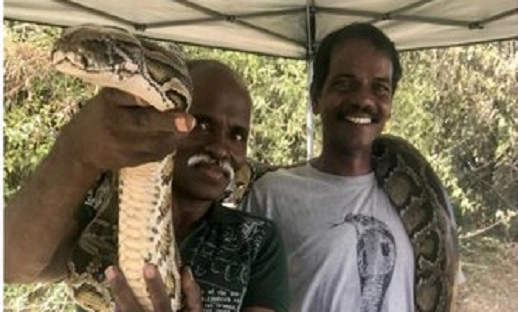 Padma Shri 2023 Winners: Tamil Nadu Snake Catchers Vadivel Gopal, Masi ...