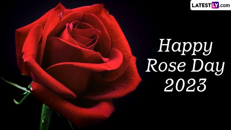 Happy Rose Day 2023 Wishes: WhatsApp Messages, Images, HD Wallpapers ...