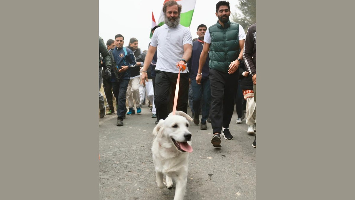 Agency News | Bharat Jodo Yatra: Rahul Gandhi Walks with Priyanka ...