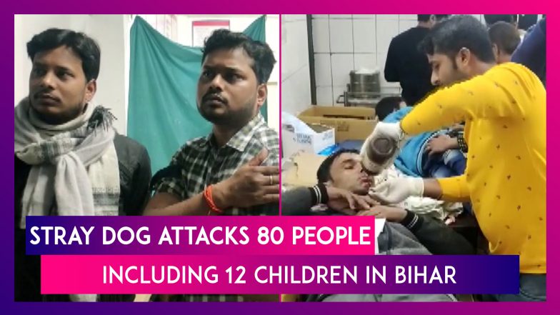 Bihar Shocker: Stray Dog Attacks 80 People Including 12 Children In ...