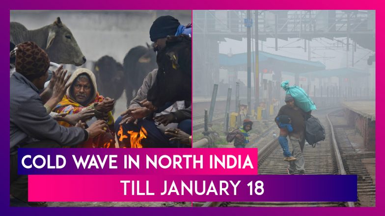 Severe Cold Wave Conditions In North India Till January 18, Says IMD ...