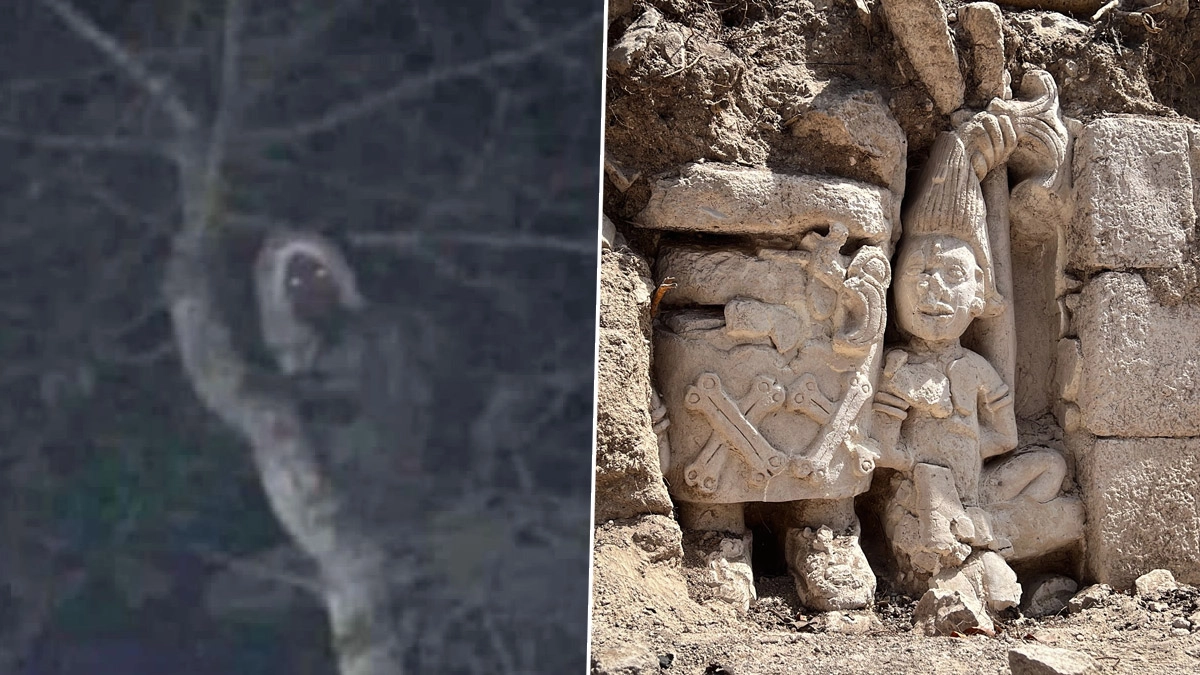 Agency News | Andrés Manuel López Obrador Shares Photo of What He ...