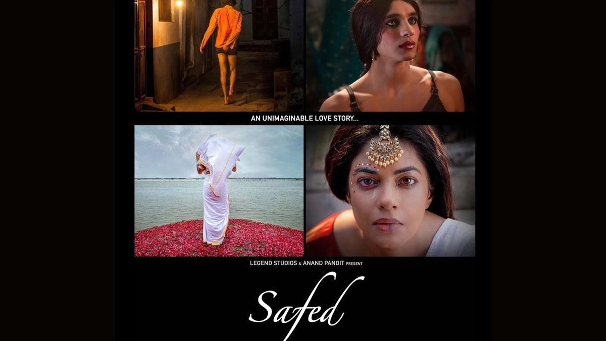 Bollywood News | Safed Poster Out | 🎥 LatestLY